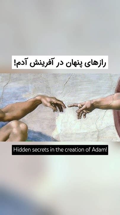 میکل آنژ، چه رازی را در نقاشی آفرینش آدم پنهان کرده است میکلآنژ آفرینشآدم Shorts Youtube