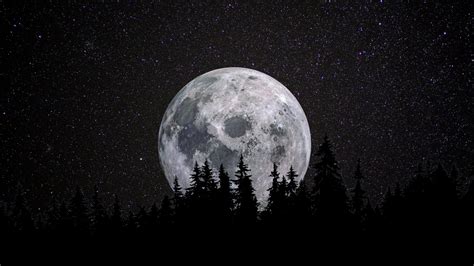 8k Ultra Hd Black Moon Over Silent Forest 7680x4320 Wallpaper Abyss