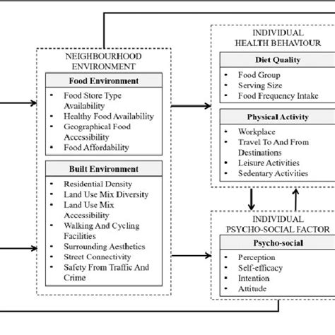 Proposed Conceptual Framework Pathways Of Obesogenic Environment