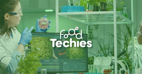 Food Il