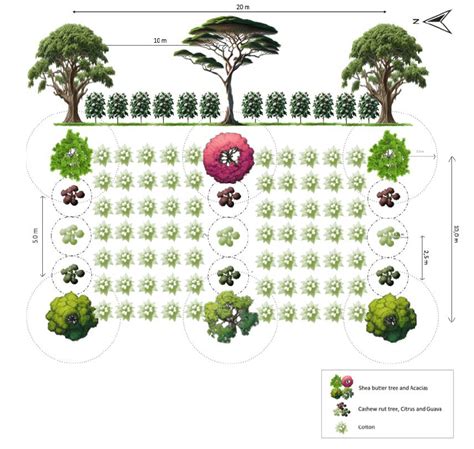 What Is Agroforestry Design The Circular Bioeconomy Alliance
