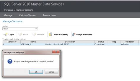 master data services versions and views for sql server