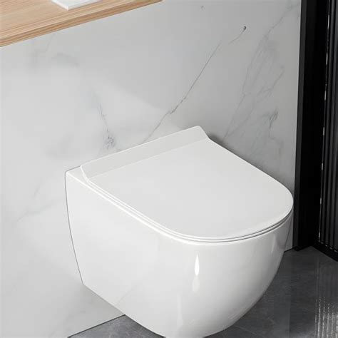 Wall Mounted Toilets Toilets And Bidets Bathroom Remodel And Bathroom