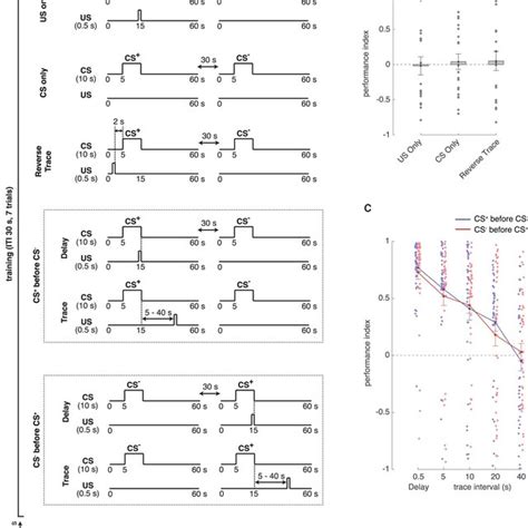 Conditioning Related Experimental Controls A Delay And Trace