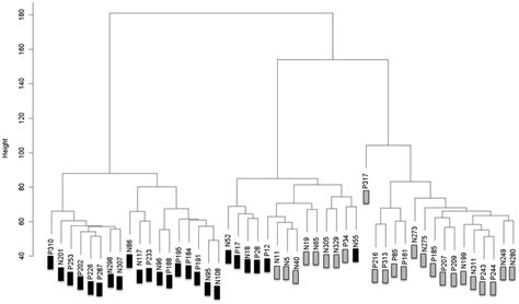 Hierarchical Clustering Of All Dna Methylation Data Samples Marked