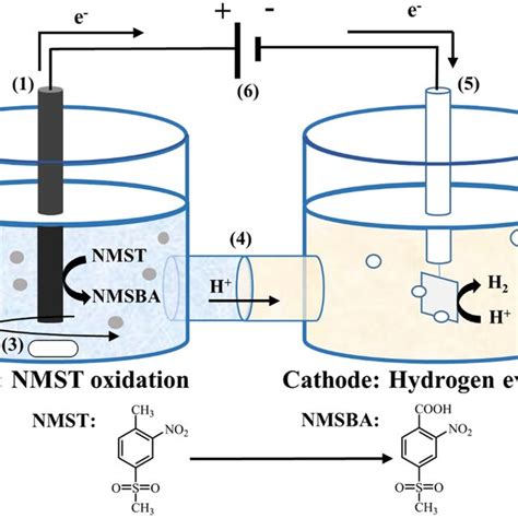 Effects Of A Cell Voltage And B Reaction Time On Electrochemical Download Scientific Diagram