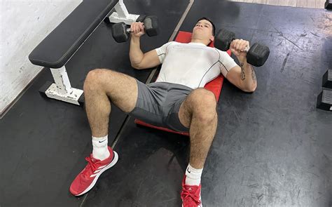 Floor Press Benefits Floor Roma