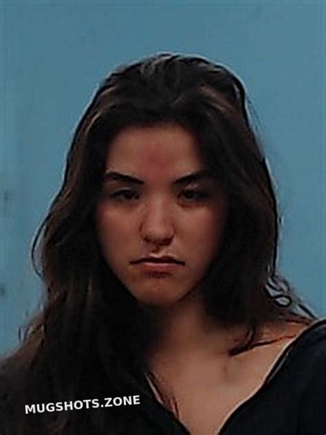 Shell Hallie Danielle 02 09 2025 Boone County Mugshots Zone