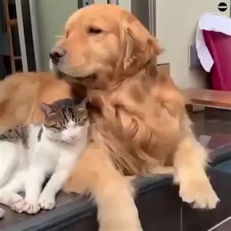 Zero Self Awareness Source Tumbex