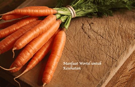 18 Manfaat Wortel Untuk Kesehatan Bams