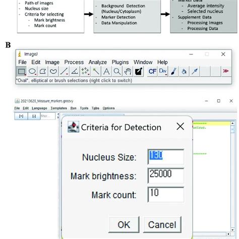 overview of the software system a workflow of foci xpress b main
