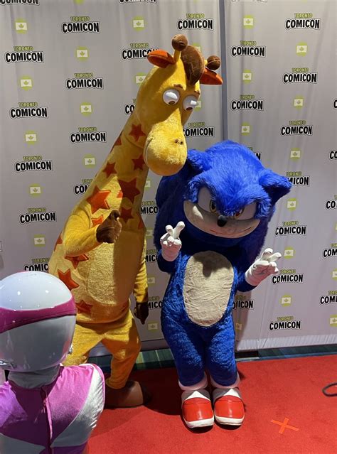 Toys R Us Sonic Figures