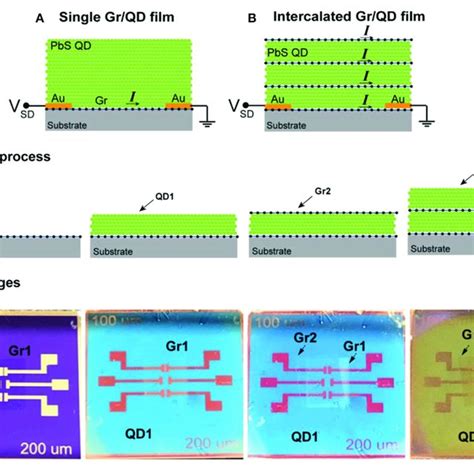 Structure Of A First Generation Solar Cell Download Scientific Diagram