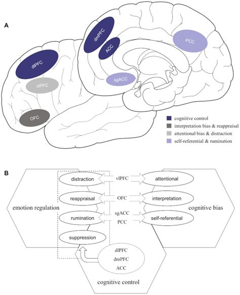 Neural Correlations Between Cognitive Deficits And Emotion Regulation Strategies Understanding