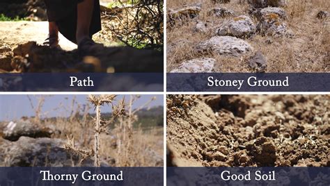 Redeemer Of Israel Understanding The Parable Of The Sower