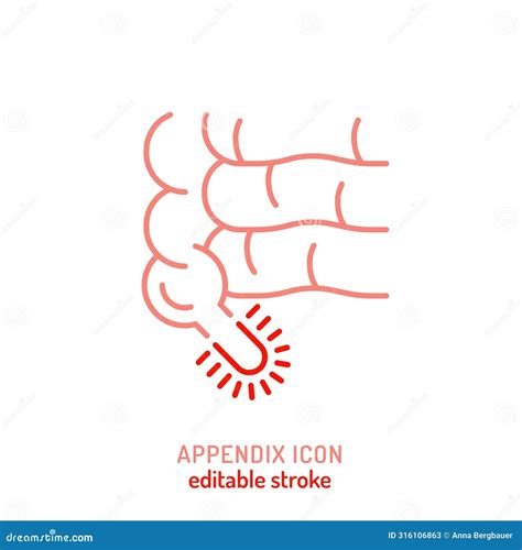 Appendix Sign Editable Vector Illustration In Modern Outline Style 316106863