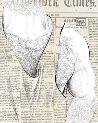 Paco Lopez Art Tumbex