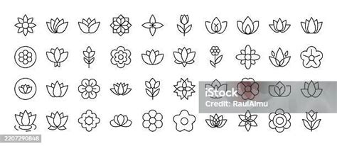 Ui 플래카드 책 앱을 위한 아름다운 꽃 아이콘 세트 편집 가능한 스트로크 웹 사이트 책 카드 앱에 적합 0명에 대한 스톡 벡터 아트 및 기타 이미지 Istock