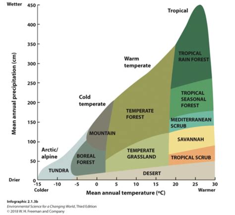Ecology Final Exam Flashcards Quizlet