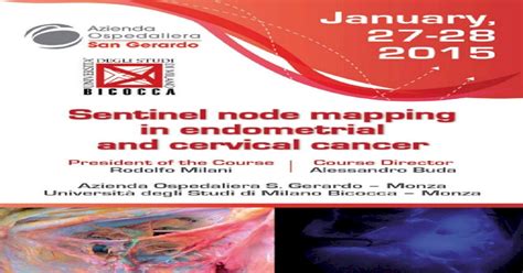 Pdf Sentinel Node Mapping In Sigo · 5 Sentinel Node Mapping In