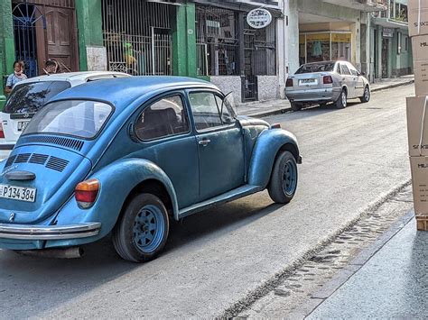 Bicho Azul Photograph By Cynthia Rodriguez Pixels