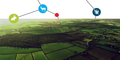 A Review Of Ecological Connectivity Science In The Region Of Resolution