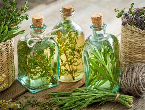 Best Ways To Store Fresh Herbs For Flavor And Longevity