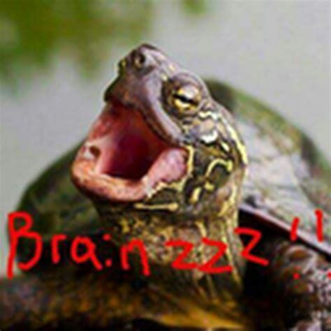 Zombie Turtle Youtube