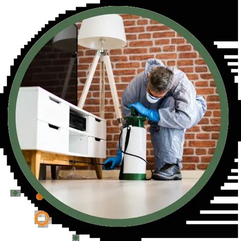 Pest Control Services Exterminator Corbett Exterminating