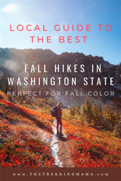 The Ultimate Guide To Washington Fall Hikes Larch Trails Autumn