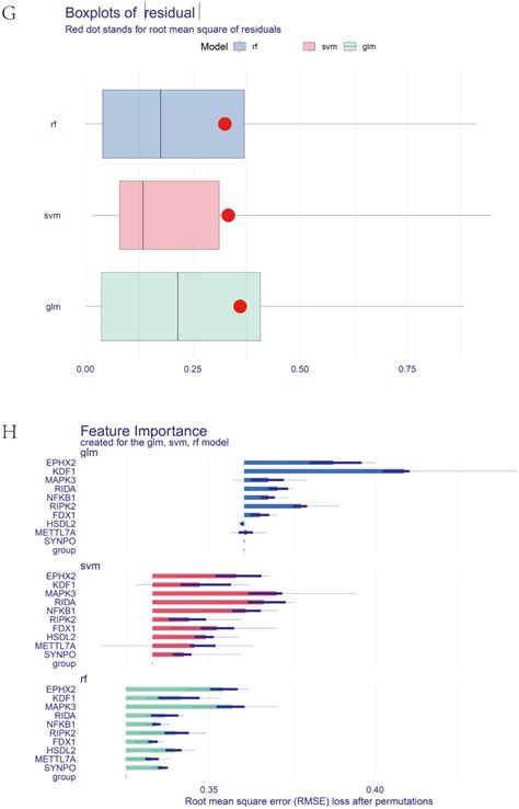 Novel Immune Cross Talk Between Inflammatory Bowel Disease And Iga Nephropathy Pmc