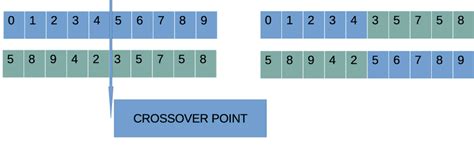 example of one point crossover download scientific diagram