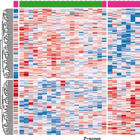 Unsupervised Hierarchical Clustering For Proteins With Significantly