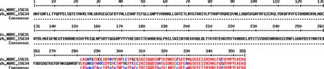 Pairwise Sequence Alignment Using Multalin Of The Luxa Amino Acid Download Scientific Diagram