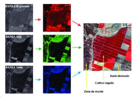 Sheme Of Infrared False Colour Composition Download Scientific Diagram
