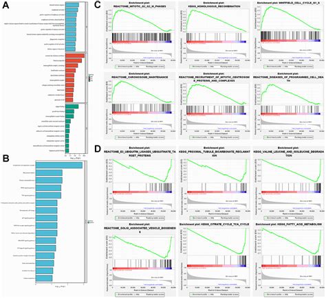 A Novel Risk Signature Based On Liquid Liquid Phase Separation Related Genes Reveals Prognostic