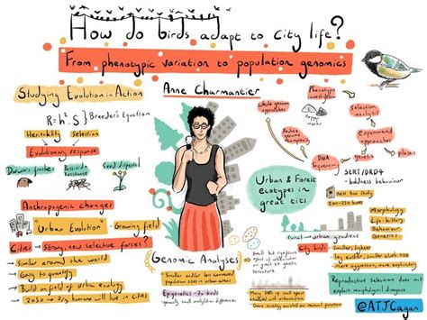 Dynamicalsystemssiam On Twitter Rt Atjcagan Conference Illustration If You Are Organising A