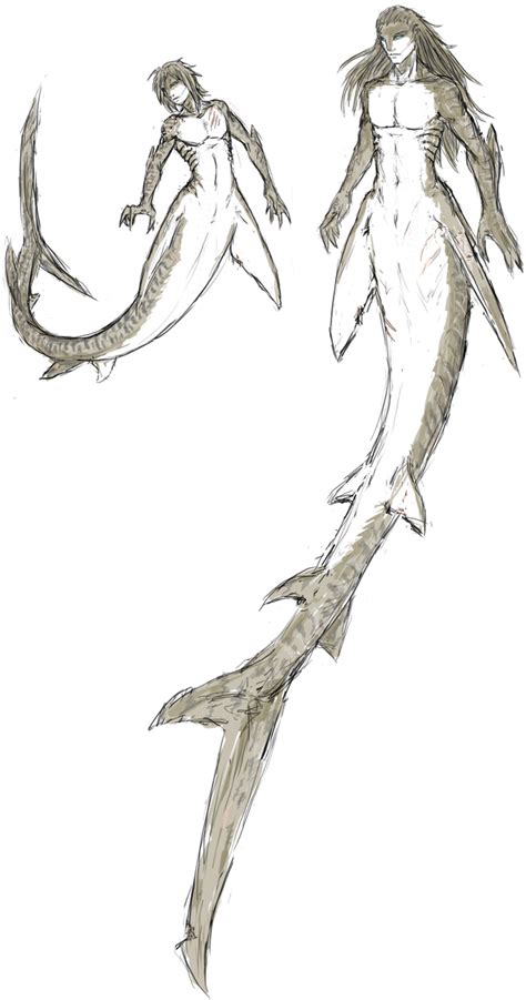 Shark Tail Drawing