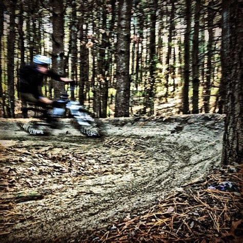 Michael Weiler Medium