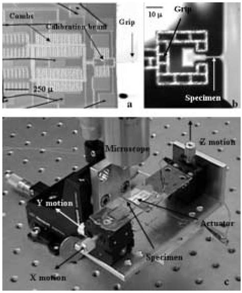 A Mems Based Tensile Testing Setup A The Electrostatic Comb Drive