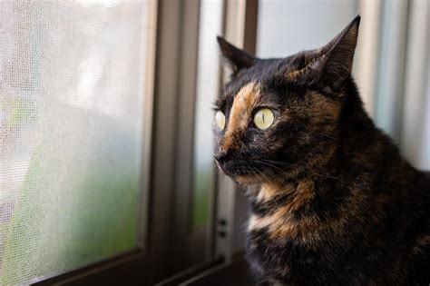 論文選讀 — Detecting Spacecraft Anomalies Using Lstms And Nonparametric