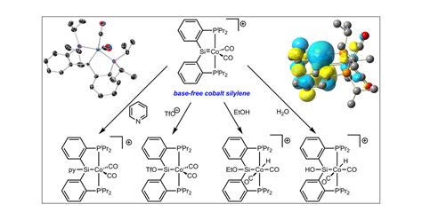 Synthesis And Reactivity Of Pincer Type Cobalt Silyl And Silylene