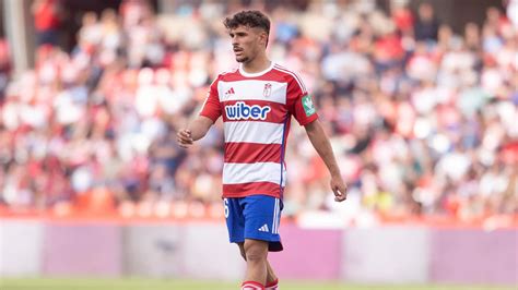 Rodelas Renueva Hasta 2028 Ideal