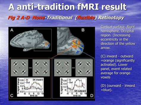 Ppt Flexible Retinotopy Motion Dependent Position Coding In The Visual Cortex Powerpoint