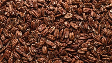 13 Types Of Pecans Explained