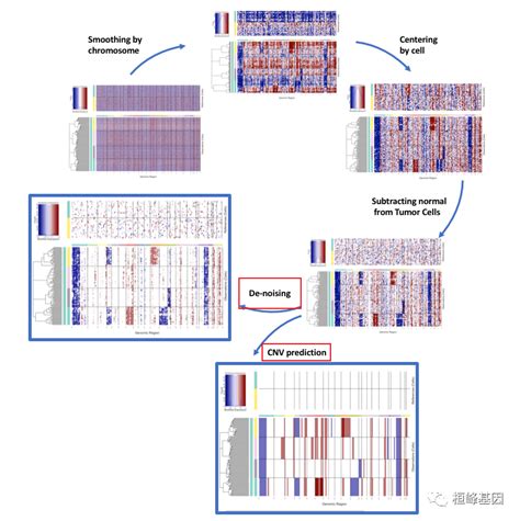 Scs【16】从肿瘤单细胞rna Seq数据中推断拷贝数变化 Infercnv Csdn博客