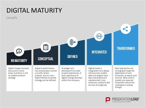Digitalization Ppt Pregnancy Informations