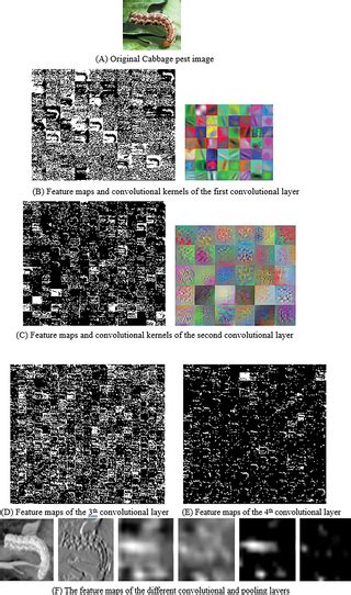 Crop Pest Detection By Three Scale Convolutional Neural Network With Attention Plos One