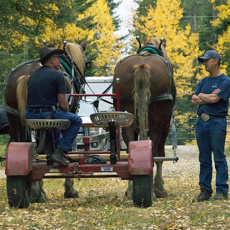 Forecart Buying Guide Alberta Carriage Supply