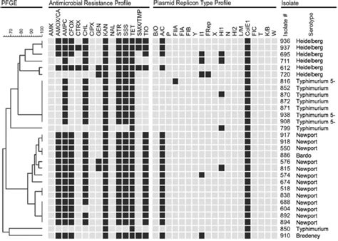 Bacterial Typing Methods Aim Attributes Types Microbe Online